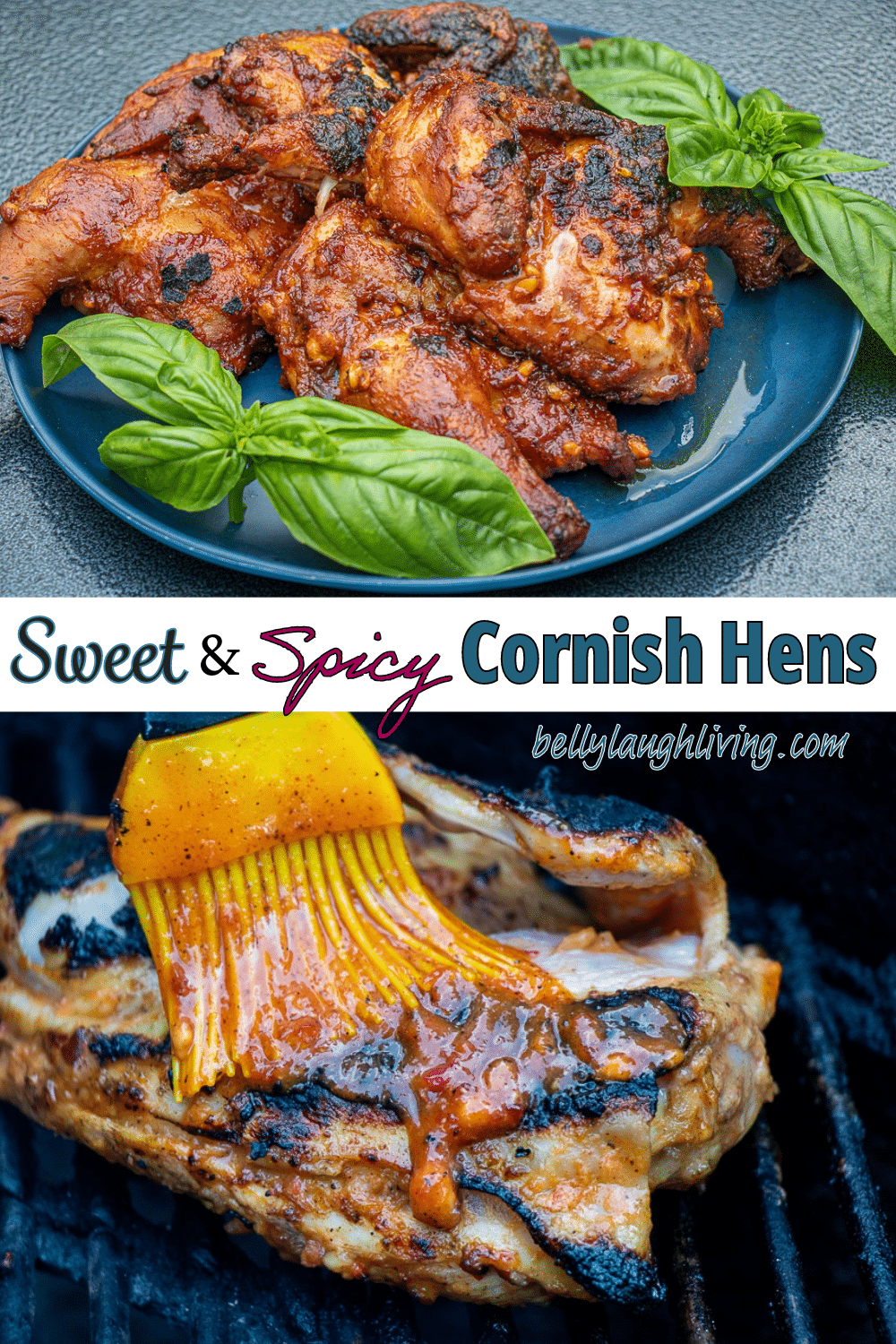 Sweet and Spicy Cornish Hens - An Easy Fun Twist on a Fancy Little ...