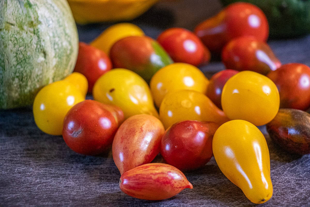 Delicious Summer Squash Casserole with Patty Pan and Globe Zucchini ...